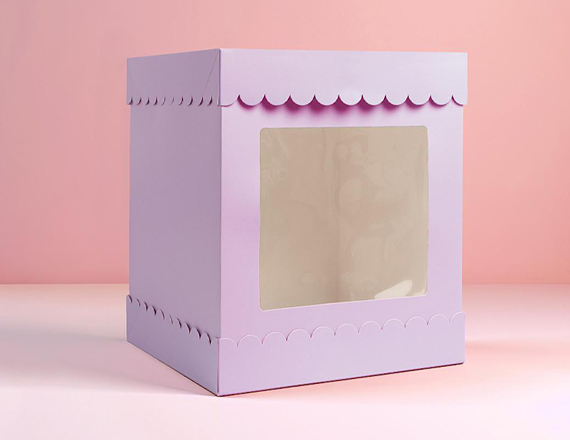 Frozen Cake Boxes - Eco Custom Packaging - Free Shipping - Bulk Quantity